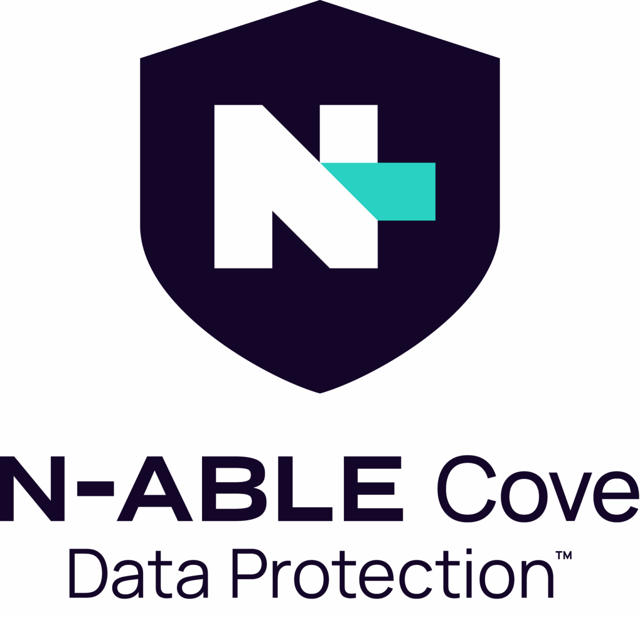 N-able Cove Data Protection - Managed Services - Bluechip Infotech New ...